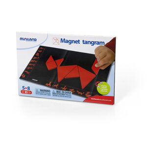 Magnetic Tangram | Learnwell